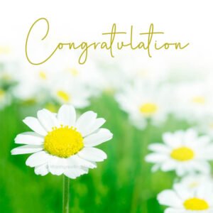 30 Congratulations on Your Outstanding Achievement Messages ...