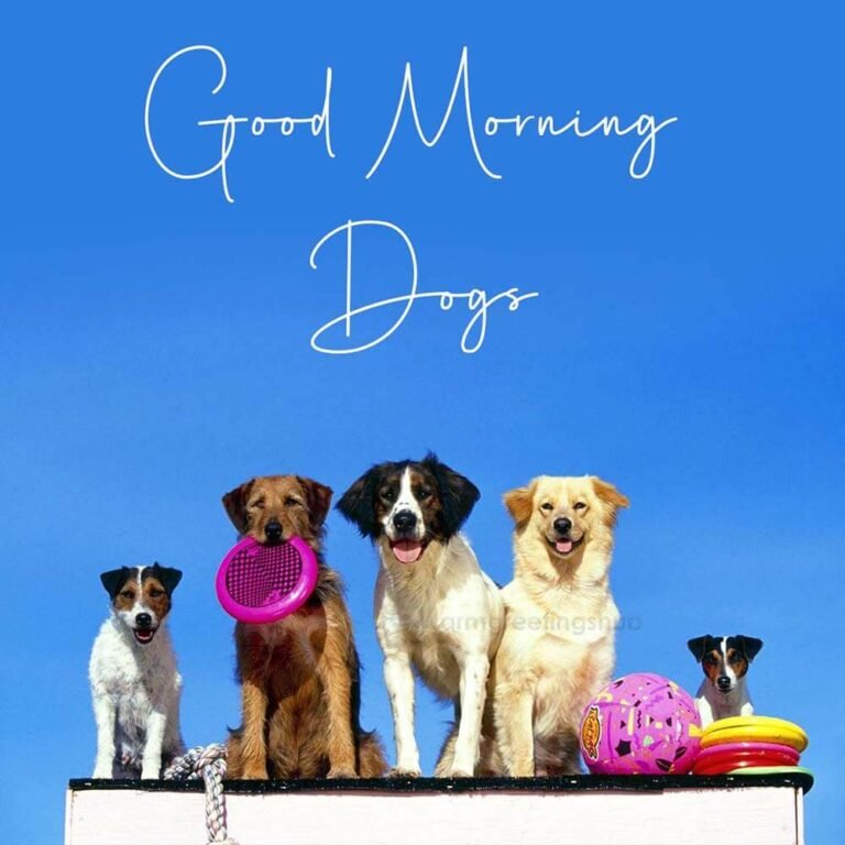 Good Morning with Dogs for a Happy Morning - goodmorningmsg.com ...