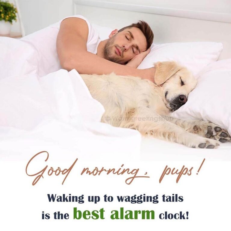 Good Morning with Dogs for a Happy Morning - goodmorningmsg.com ...