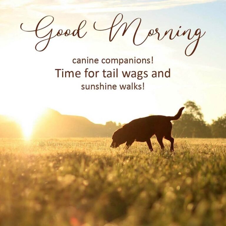 Good Morning with Dogs for a Happy Morning - goodmorningmsg.com ...