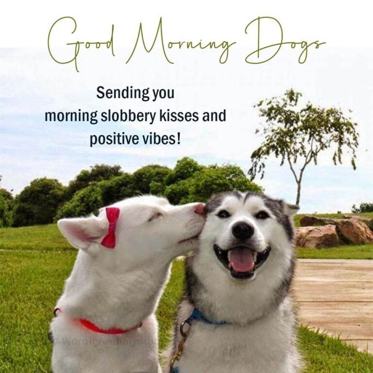 Good Morning with Dogs for a Happy Morning - goodmorningmsg.com ...
