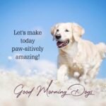 Good Morning with Dogs for a Happy Morning - goodmorningmsg.com ...