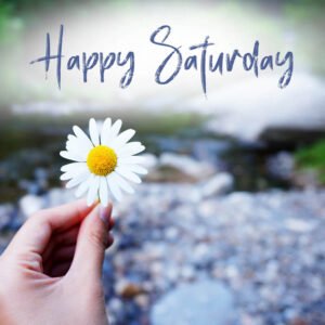 90+ Happy Saturday Quotes, Wishes and Happiness - goodmorningmsg.com ...