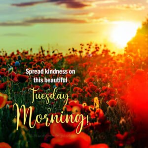 35+ Happy Tuesday Quotes and Wishes With a Smile - goodmorningmsg.com ...