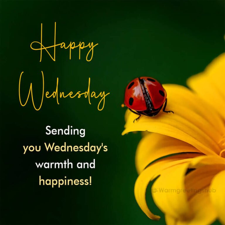 65+ Happy Wednesday Wishes, Morning Greetings and Quotes ...