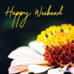 Happy Long Weekend Wishes - goodmorningmsg.com - goodmorningmsg.com