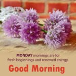 100+ Uplifting Happy Monday Messages Quotes and Pictures ...