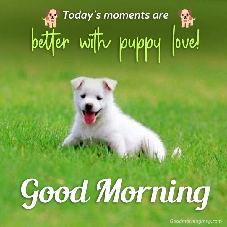 Good Morning with Dogs for a Happy Morning - goodmorningmsg.com ...