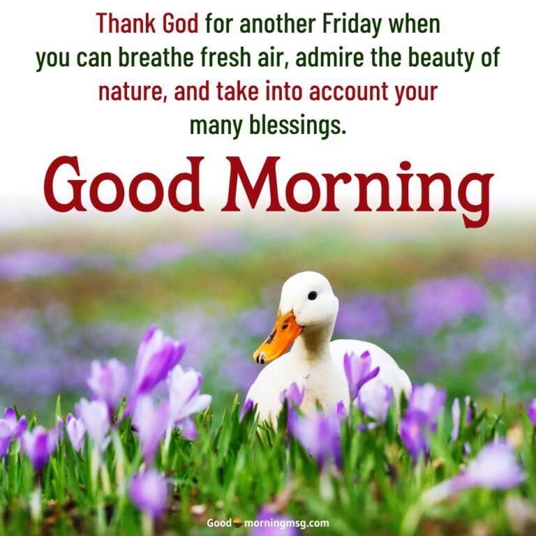 45+ Let’s kickstart Happy Friday Images, Quotes and Pictures ...