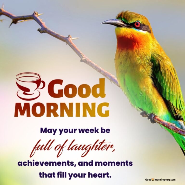 100+ Uplifting Happy Monday Messages Quotes and Pictures ...