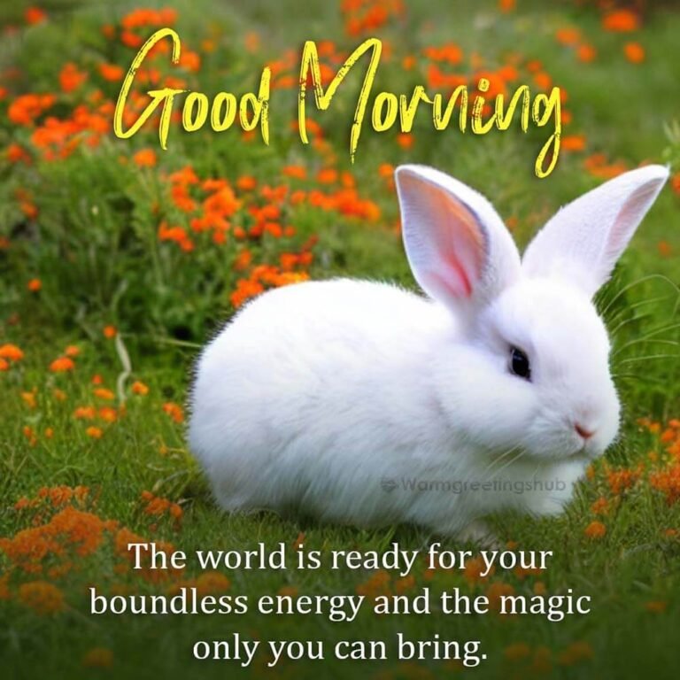Cute Good Morning Rabbit - goodmorningmsg.com - goodmorningmsg.com