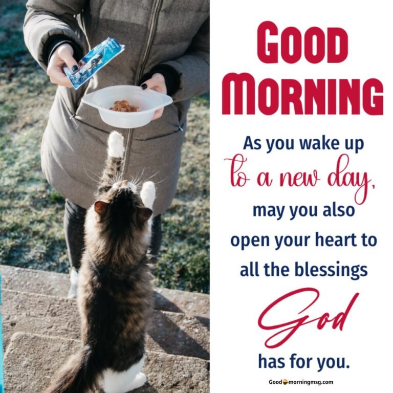 100+ Uplifting Happy Monday Messages Quotes and Pictures ...