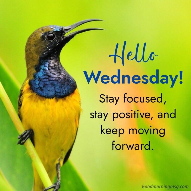 65+ Happy Wednesday Wishes, Morning Greetings and Quotes ...