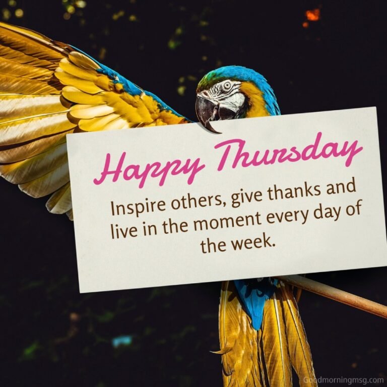 Thursday Morning, Quotes, Wishes, Happiness, Positivity ...