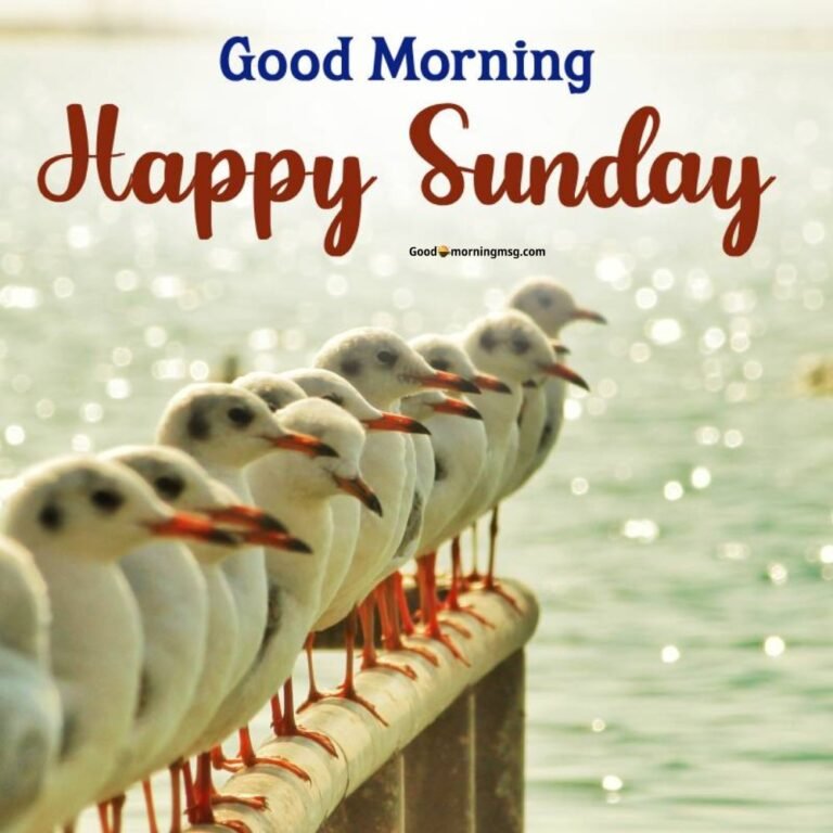 55+ Cute Happy Sunday Quotes: Happiness and Wishes - goodmorningmsg.com ...