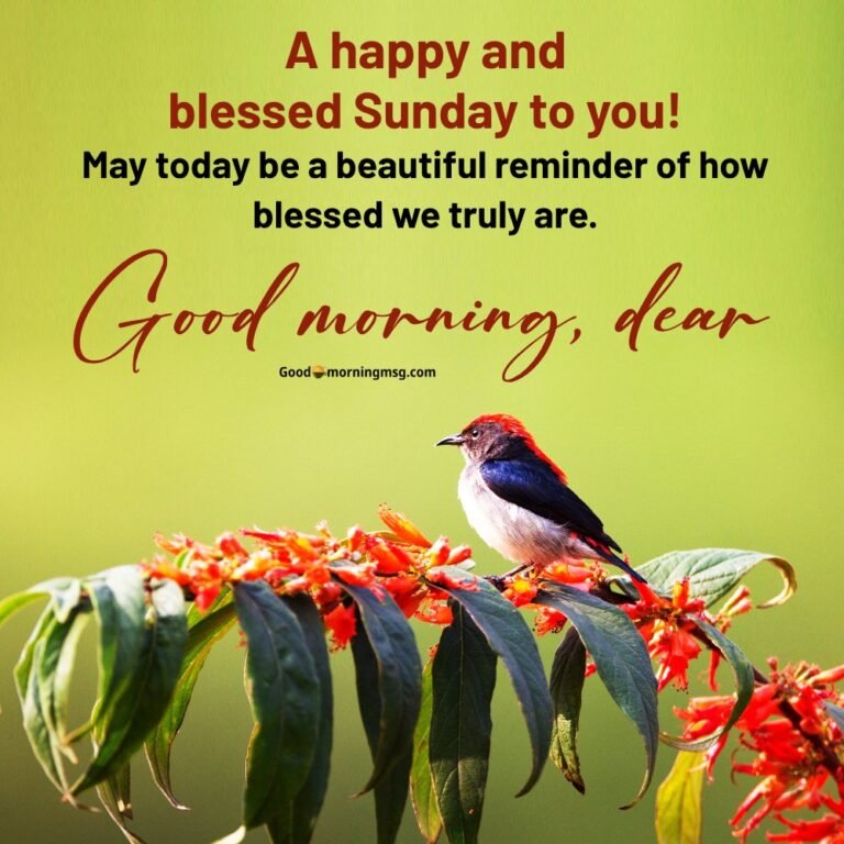 55+ Cute Happy Sunday Quotes: Happiness and Wishes - goodmorningmsg.com ...