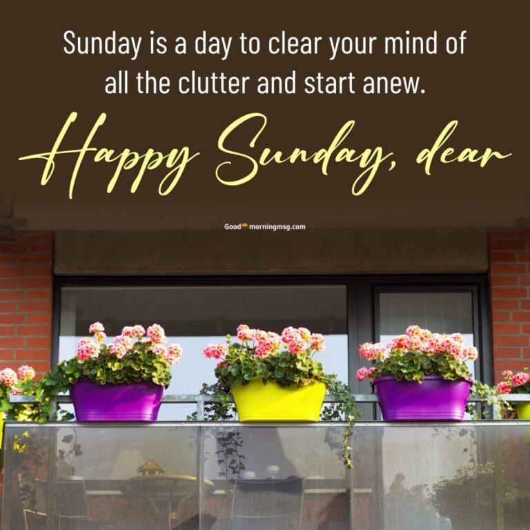 55+ Cute Happy Sunday Quotes: Happiness and Wishes - goodmorningmsg.com ...