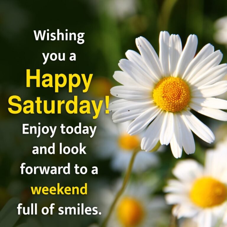 90+ Happy Saturday Quotes, Wishes and Happiness - goodmorningmsg.com ...