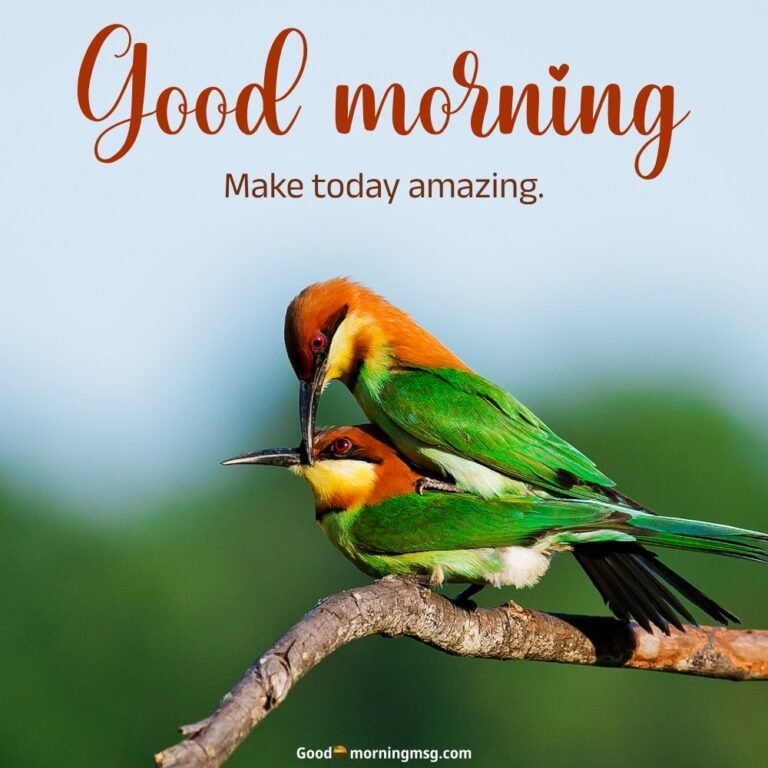 Good Morning Birds Images - goodmorningmsg.com - goodmorningmsg.com