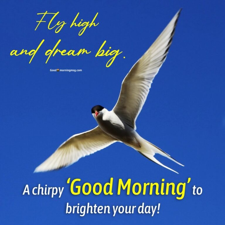 Good Morning Birds Images - goodmorningmsg.com - goodmorningmsg.com