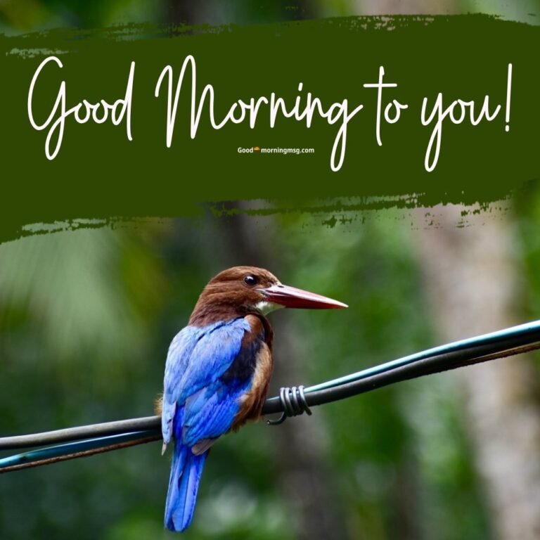 Good Morning Birds Images - goodmorningmsg.com - goodmorningmsg.com
