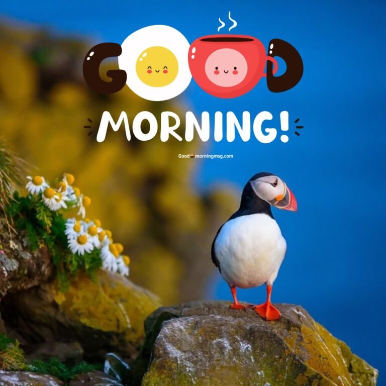 Good Morning Birds Images - goodmorningmsg.com - goodmorningmsg.com