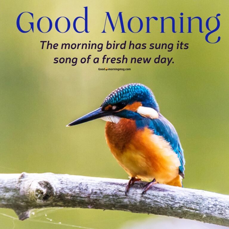 Good Morning Birds Images - goodmorningmsg.com - goodmorningmsg.com