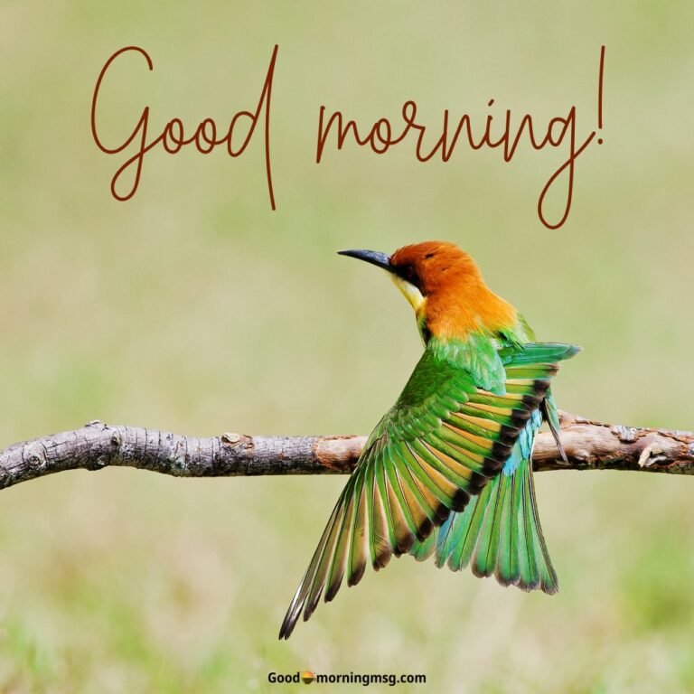 Good Morning Birds Images - goodmorningmsg.com - goodmorningmsg.com