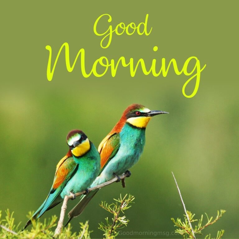 Good Morning Birds Images - goodmorningmsg.com - goodmorningmsg.com