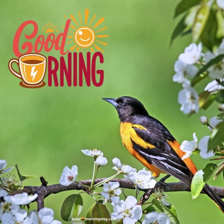 Good Morning Birds Images - goodmorningmsg.com - goodmorningmsg.com