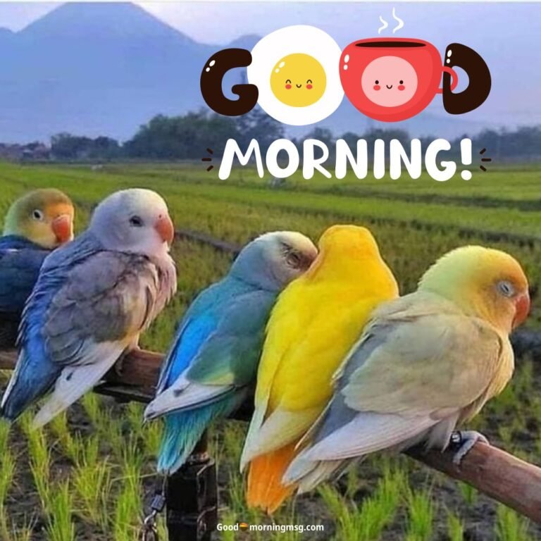 Good Morning Birds Images - goodmorningmsg.com - goodmorningmsg.com