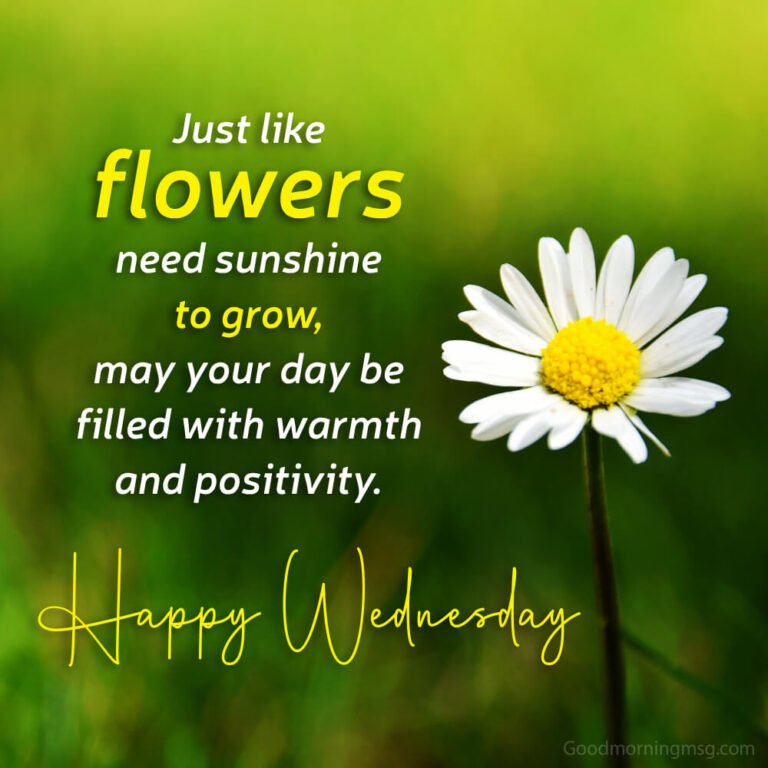Beautiful Wednesday Flower Images, Morning Greetings and Quotes ...