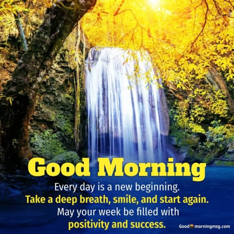 Have a Beautiful Happy Monday Dear Friend - goodmorningmsg.com ...