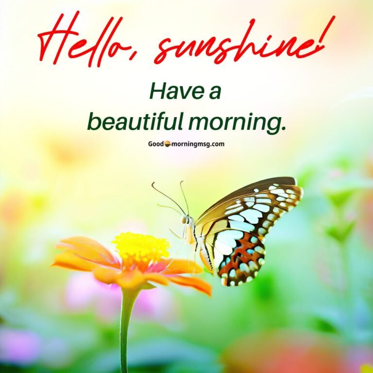 Beautiful Good Morning Images with Nature and Sunrise - goodmorningmsg ...