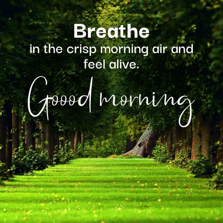 Beautiful Good Morning Images with Nature and Sunrise - goodmorningmsg ...