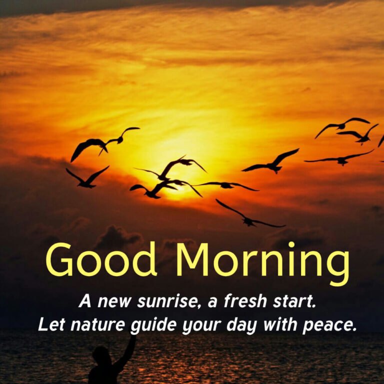 Beautiful Good Morning Images with Nature and Sunrise - goodmorningmsg ...