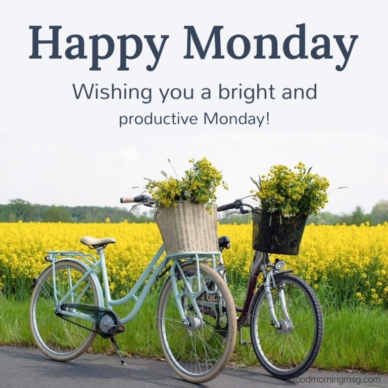 Have a Beautiful Happy Monday Dear Friend - goodmorningmsg.com ...