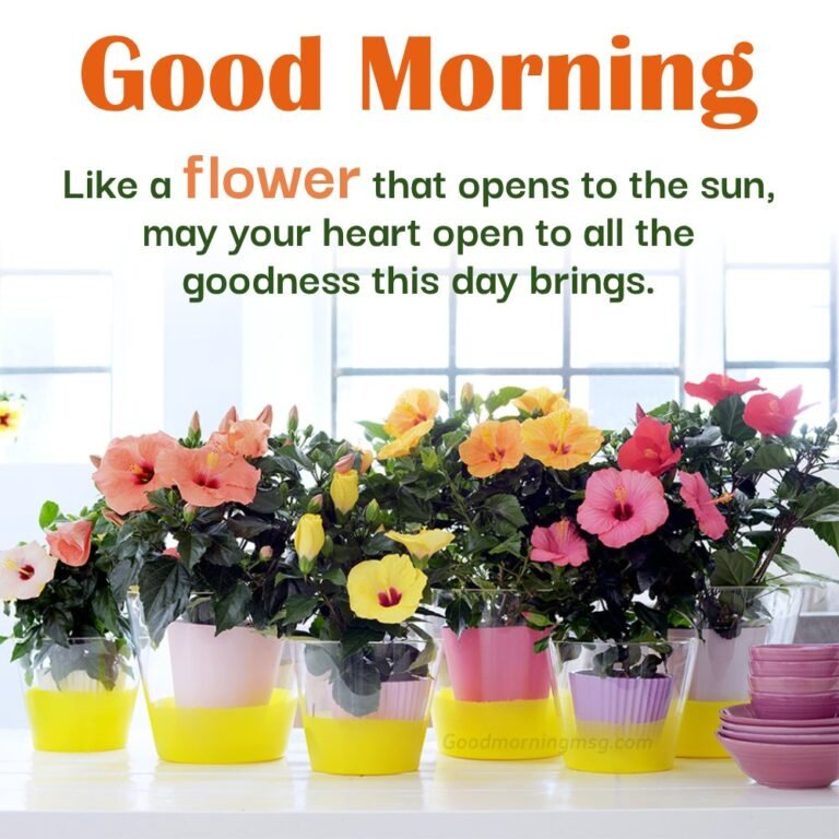 Best Good Morning Flower Quotes And Images - goodmorningmsg.com ...