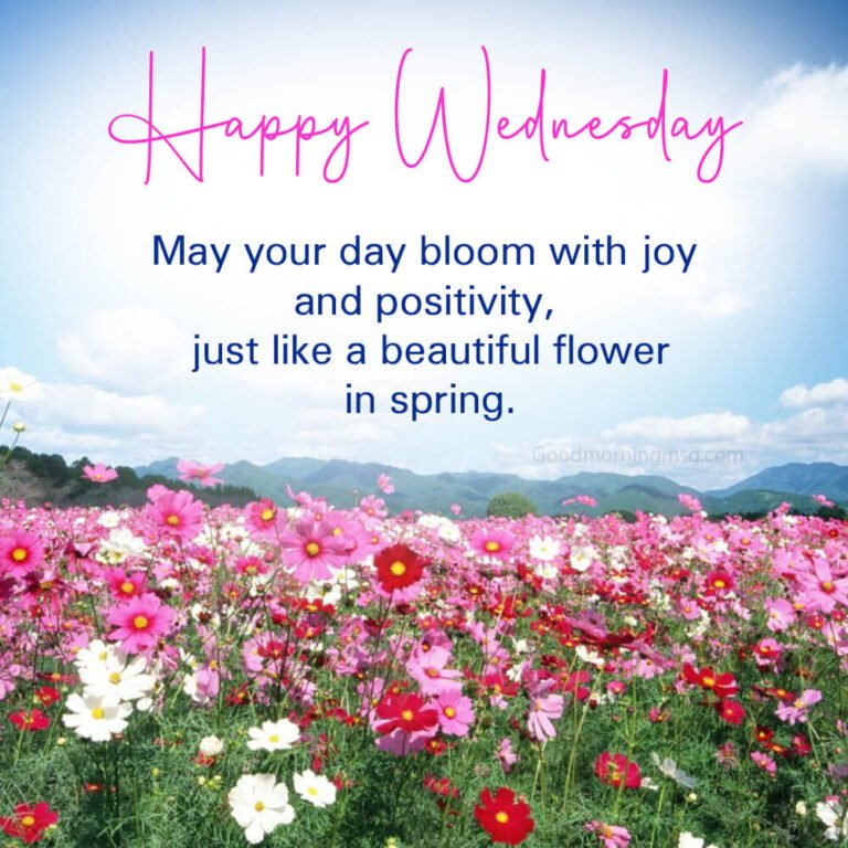 Beautiful Wednesday Flower Images, Morning Greetings and Quotes ...