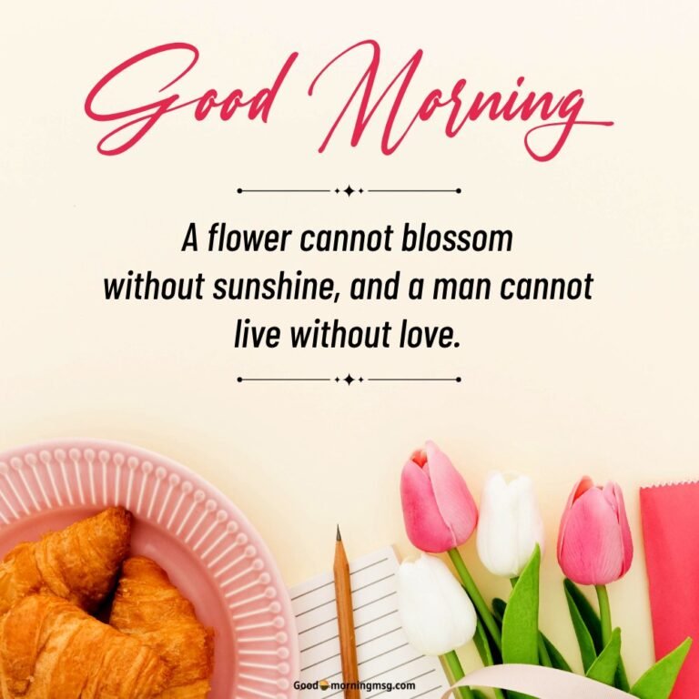 Best Good Morning Flower Quotes And Images - goodmorningmsg.com ...