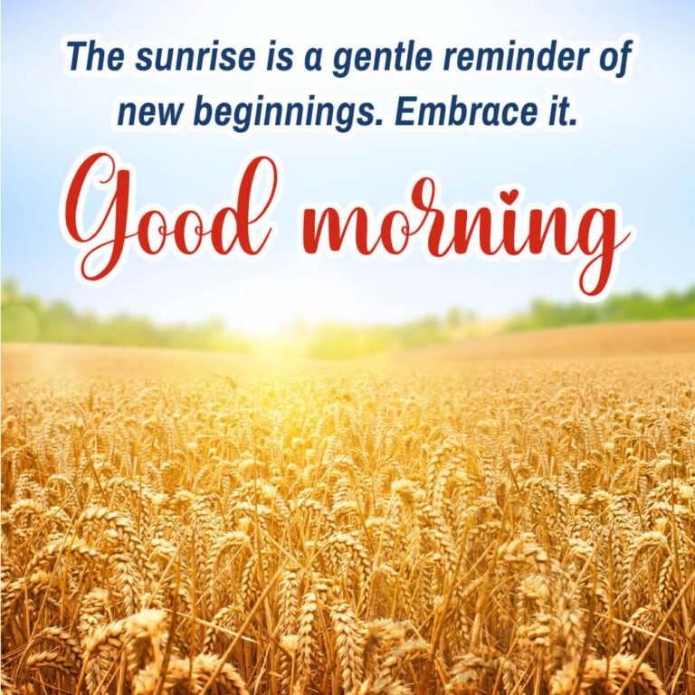 Beautiful Good Morning Images with Nature and Sunrise - goodmorningmsg ...