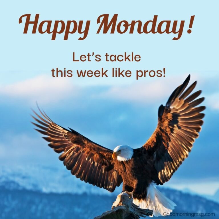 Have a Beautiful Happy Monday Dear Friend - goodmorningmsg.com ...