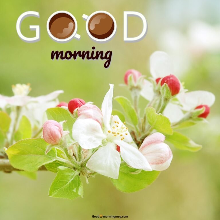 Beautiful Good Morning Images with Nature and Sunrise - goodmorningmsg ...