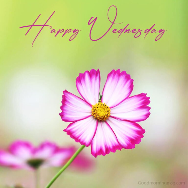 Beautiful Wednesday Flower Images, Morning Greetings and Quotes ...