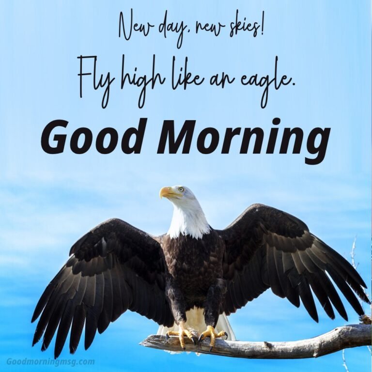 Free Eagle Pictures Good Morning Eagle Images - goodmorningmsg.com ...