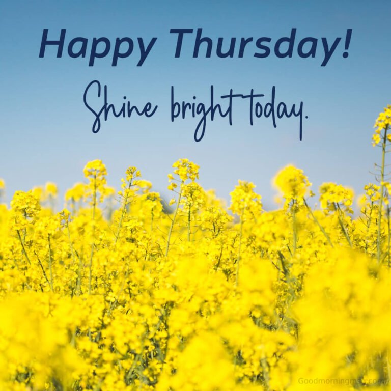 Happy Thursday With Yellow Flower Full HD Download - goodmorningmsg.com ...