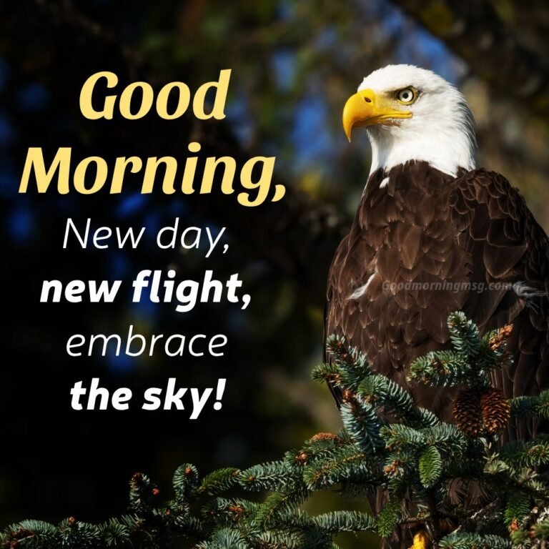 Free Eagle Pictures Good Morning Eagle Images - goodmorningmsg.com ...