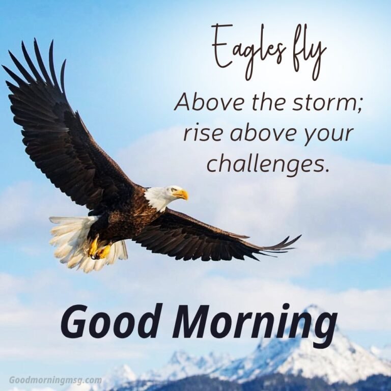Free Eagle Pictures Good Morning Eagle Images - goodmorningmsg.com ...
