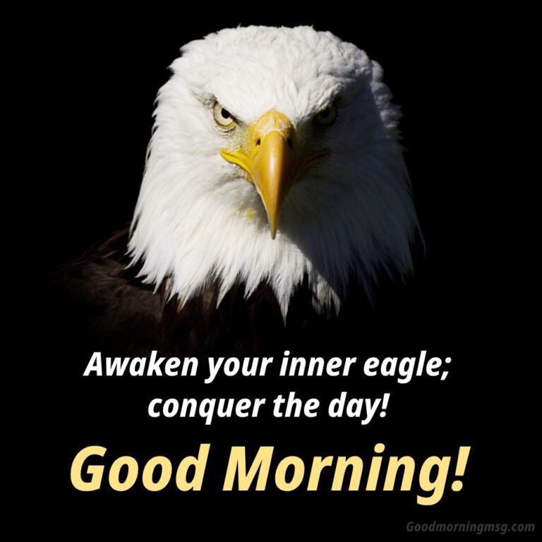 Free Eagle Pictures Good Morning Eagle Images - goodmorningmsg.com ...