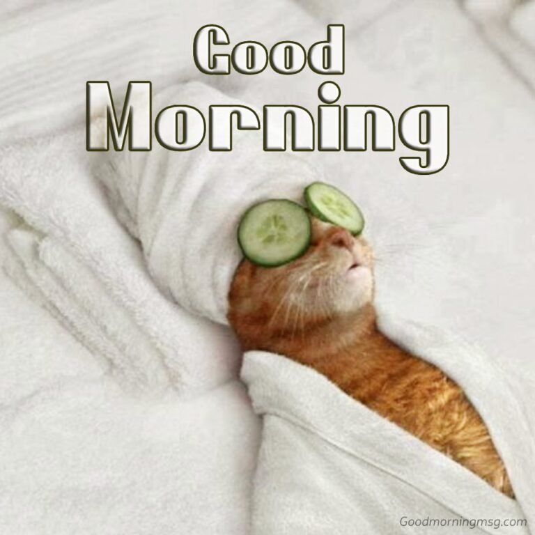 Good Morning Funny Memes Images - goodmorningmsg.com - goodmorningmsg.com